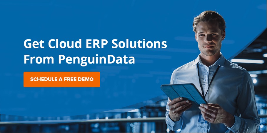 Choosing the Right Cloud ERP System - PenguinData Blog